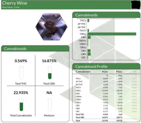 Hemp Testing 101 - Insights from Kight on Cannabis - Herba Releaf